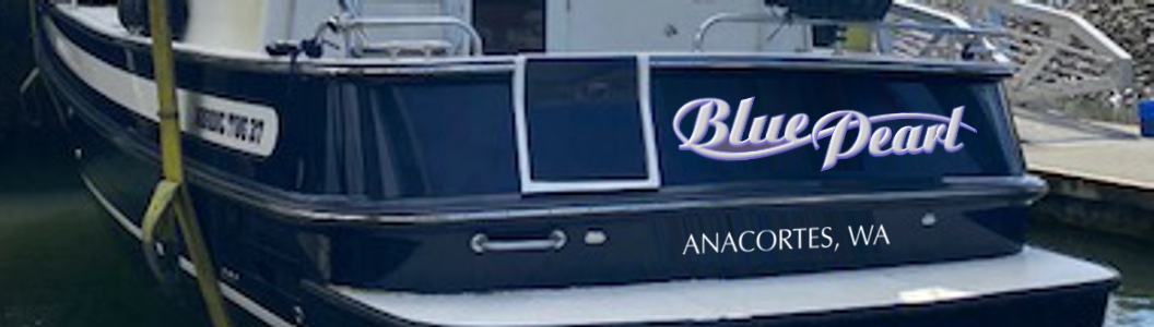 Blue Pearl custom boat graphic - Boat Lettering
