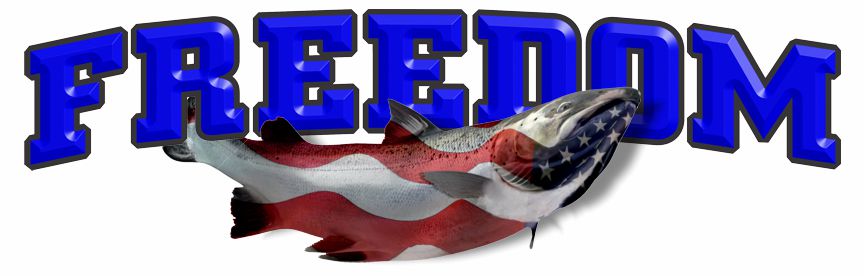 Freedom boat decals - Boat Lettering