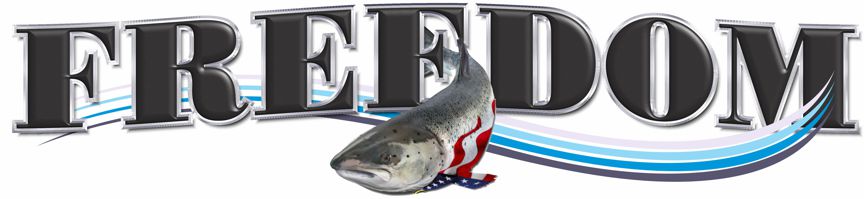 Freedom boat decals - Boat Lettering